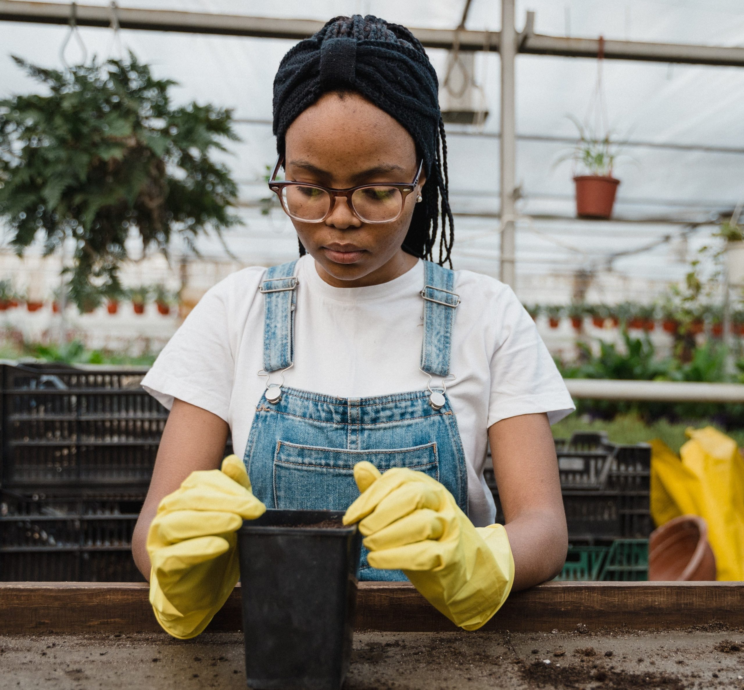 Intro to Horticulture - CCSA Member Portal